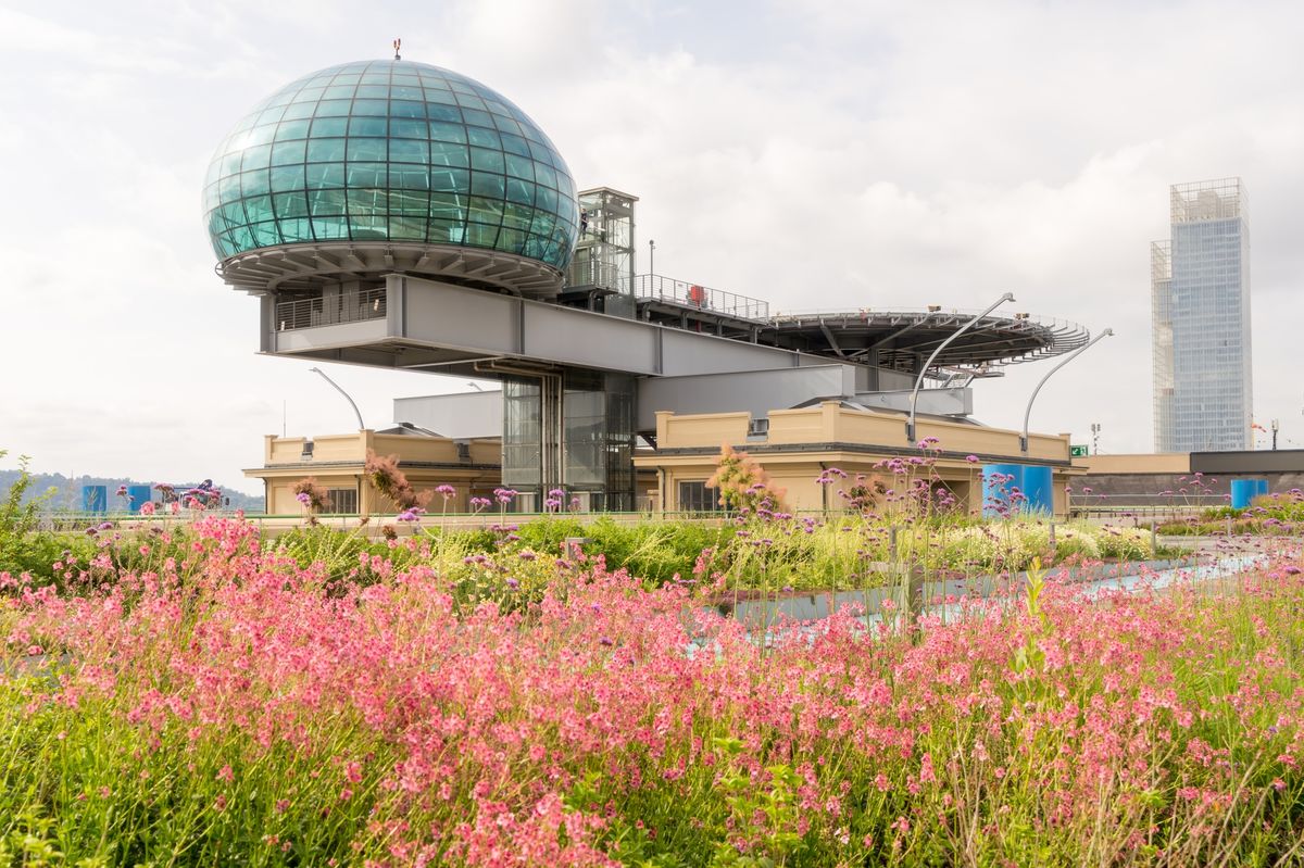 Fiat's factory in Torino rooftop garden is being redesigned | eRed